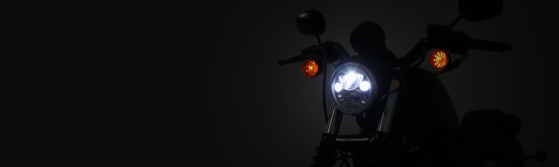 Cruiser & Custom Motorcycle